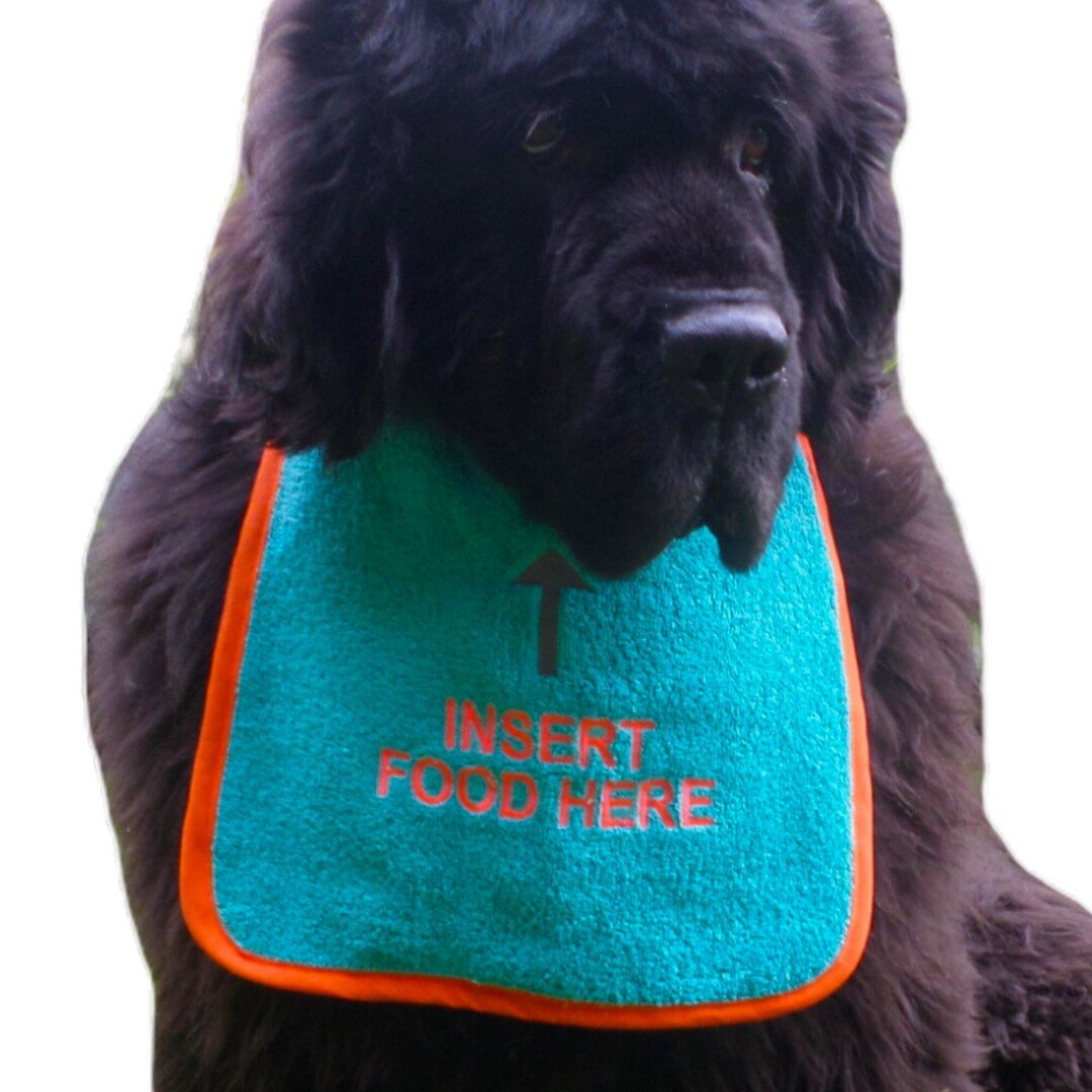 Dog Slobber Bib 'INSERT FOOD HERE' - Personalize Your Own - Latest ...