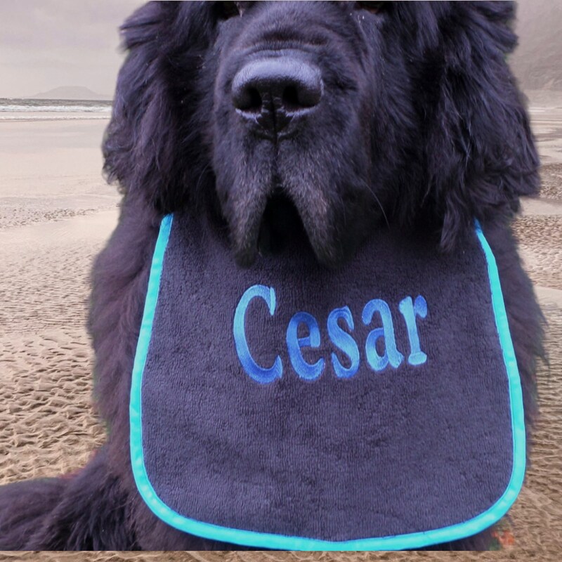 Dog Drool Bib - Etsy