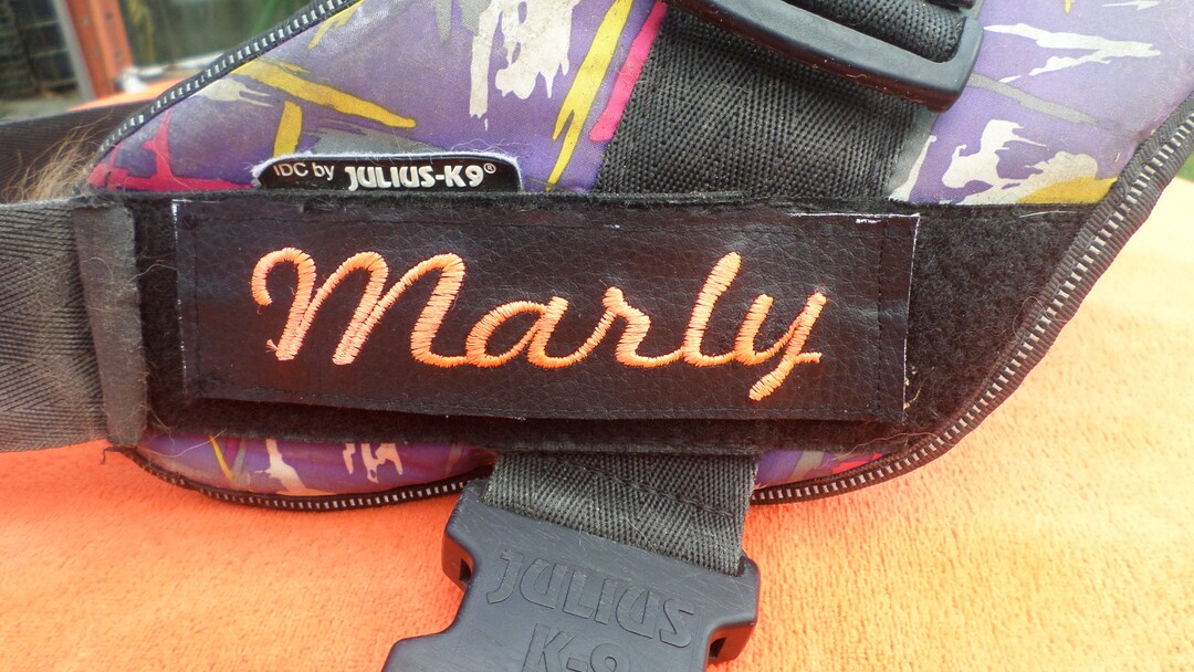 Personalized Embroidered Harness Labels - Script Font - Pair of 2pcs ...