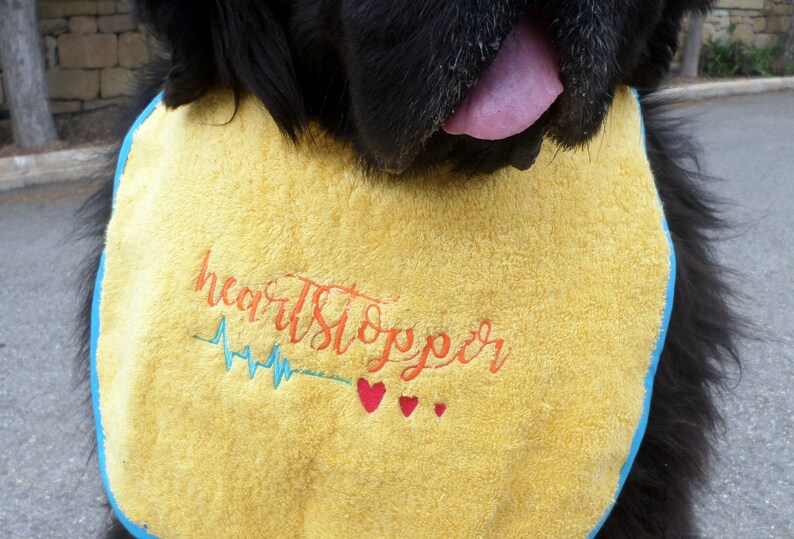 Dog Drool Bib - Heartstopper Design - Choose Your Own Colours - Super ...