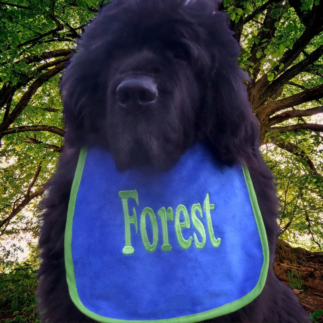 Personalized Dog Slobber Bib, Super Absorbent With Waterproof Material ...