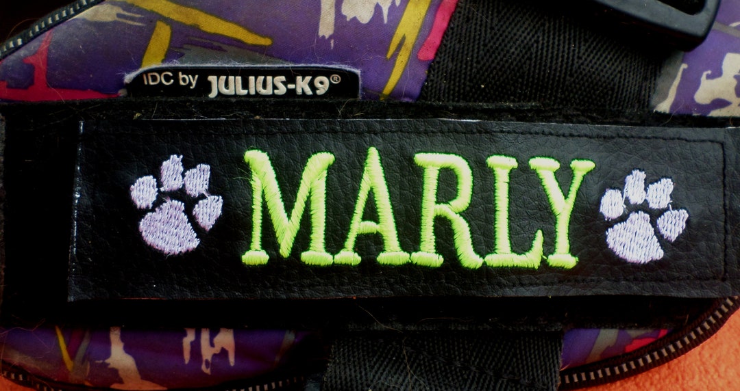 Personalized Embroidered Harness Labels - Set of 2 - Choose Name ...