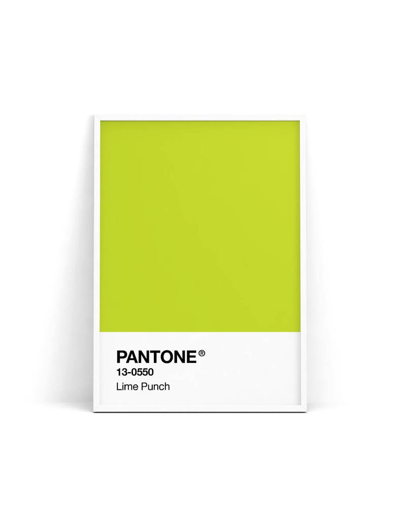 Pantone Spring 2018 Lime Punch Pantone Green Pantone print | Etsy