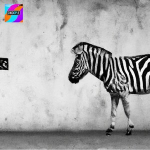 The Zebra Effect: Digital Art - Etsy