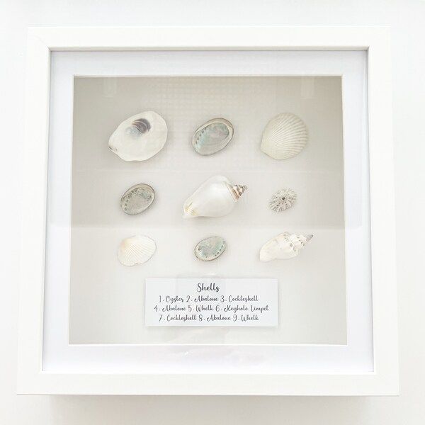 Shell Frame - Etsy