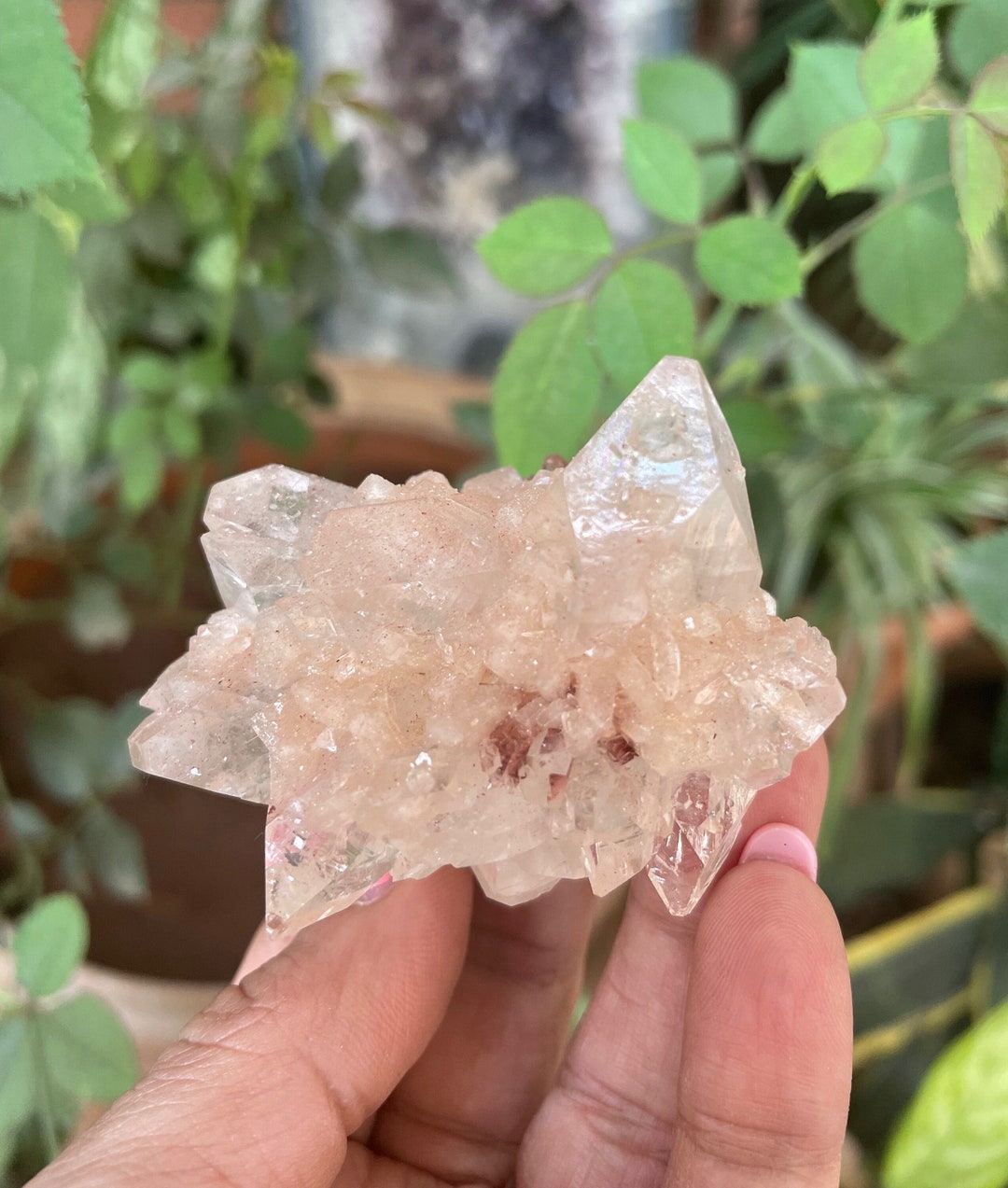 Beautiful Natural Multi Points Apophyllite Crystal Grown on Calcite ...