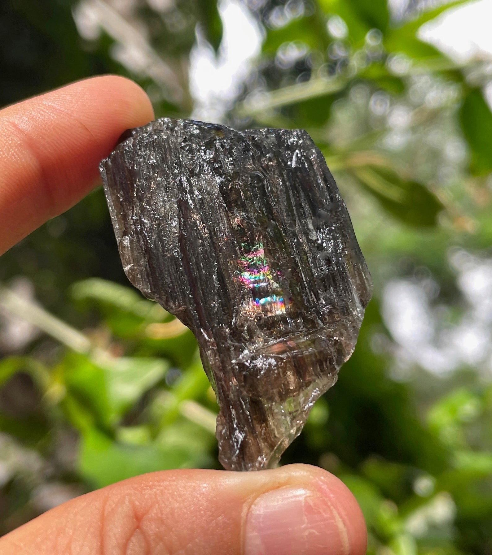 Beautiful Transparent Natural Scapolite Rough Specimen With | Etsy