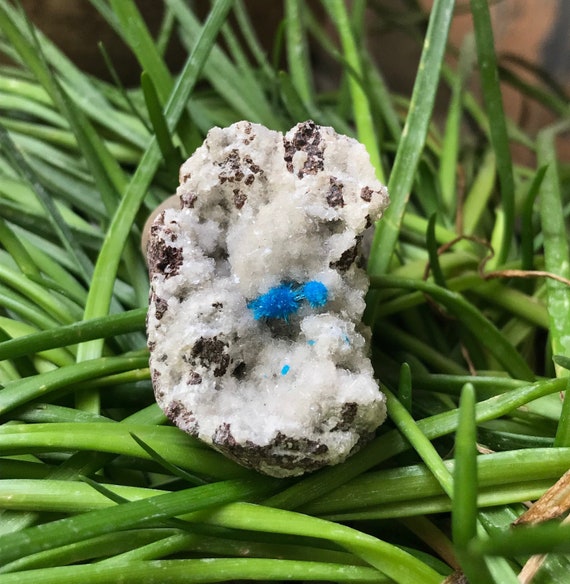 Natural Beautiful Lovely Blue Shiny Pentagonite Crystal On A | Etsy