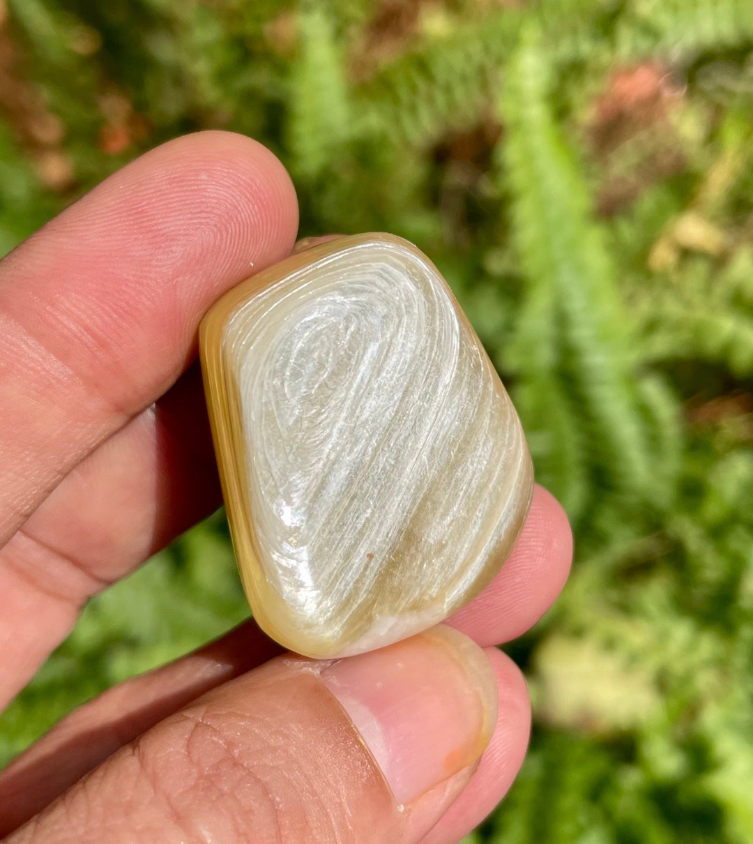 Gem Grade Beautiful Natural Yellow / Golden Muscovite / Muskovite ...