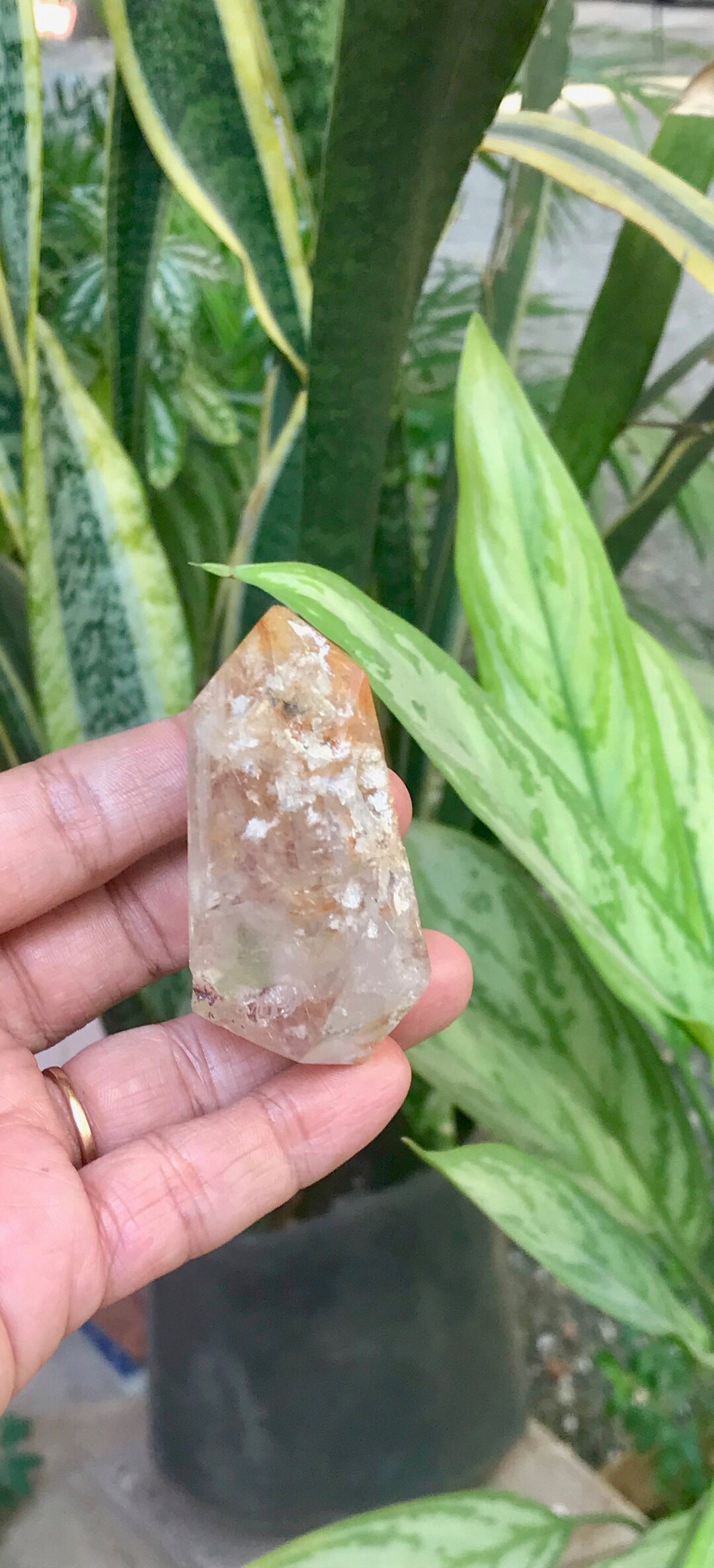 Rare Beautiful Natural Double Terminated Himalayan Golden Rutile Point ...