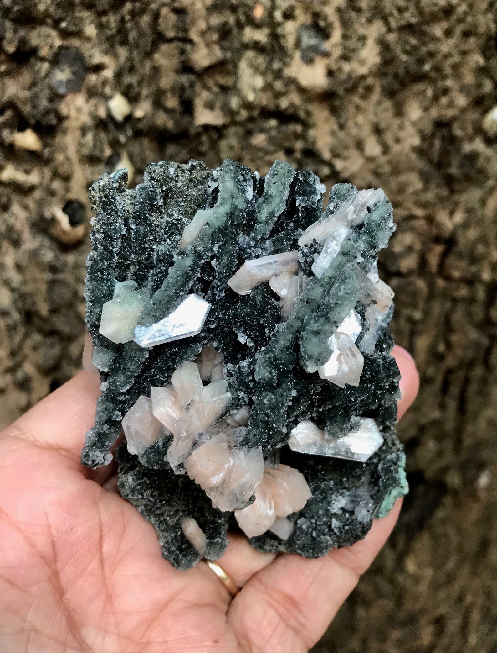 Beautiful Shimmering Natural Grey Black Chalcedony Crystal | Etsy