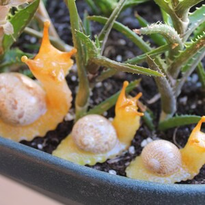 Set of 3 Garden Snail Family Figurines Decor Zen Garden | Etsy