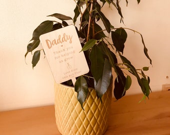 Decorative plant pots | Etsy