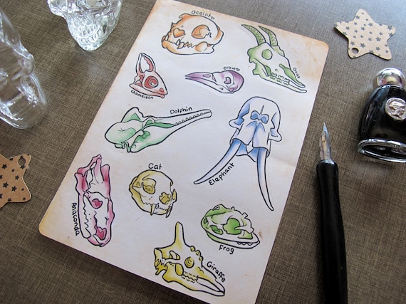 Animal Skull Themed Sticker Sheet - Etsy