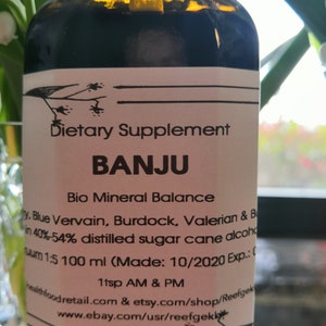 BRAIN Tonic - Brain Food & Balance Central Nerve System - Etsy