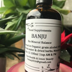BRAIN Tonic - Brain Food & Balance Central Nerve System - Etsy