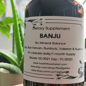 BRAIN Tonic - Brain Food & Balance Central Nerve System - Etsy