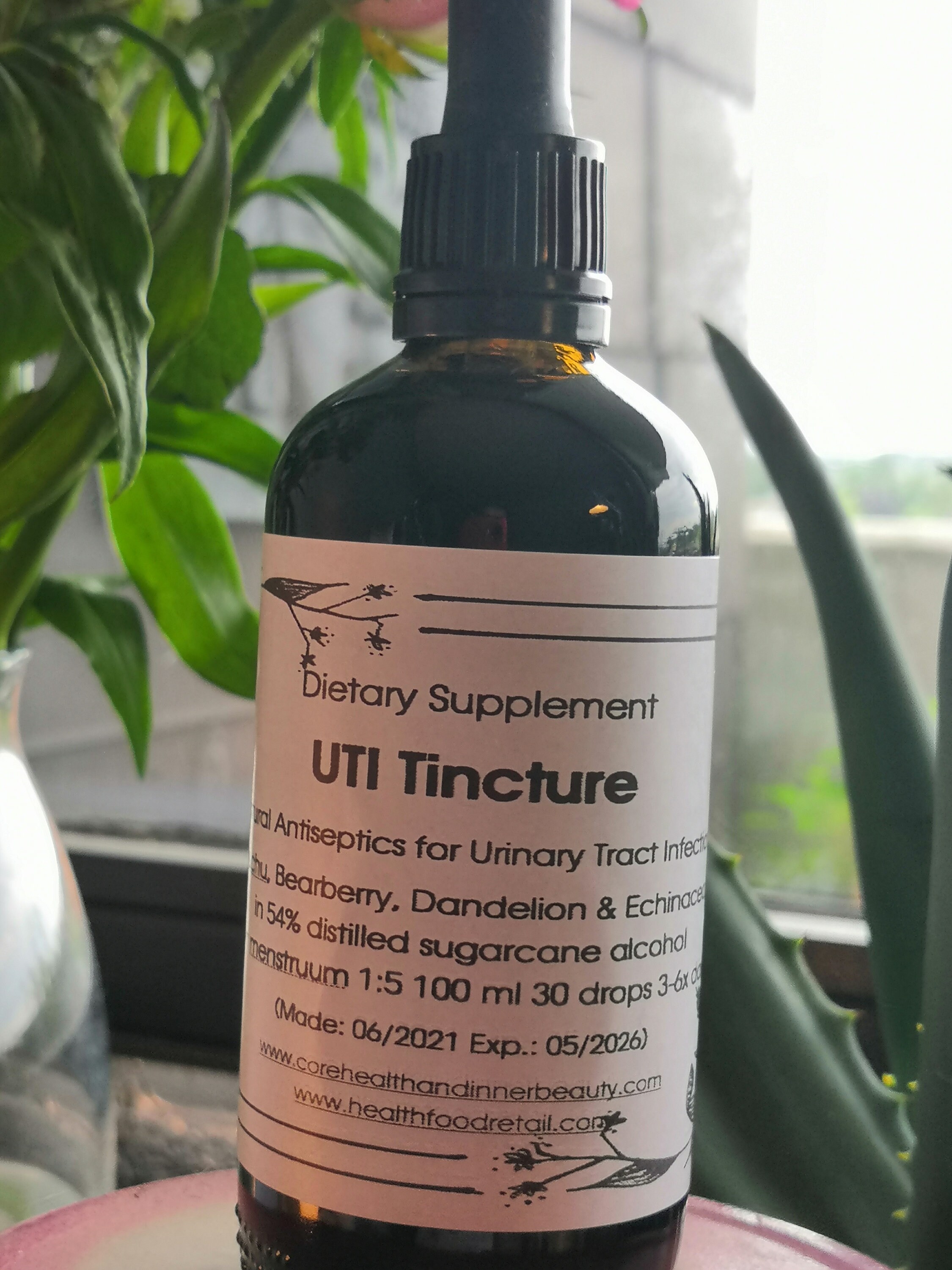 UTI Natural Cleansing Antiseptic & Probiotic Food Supporting - Etsy