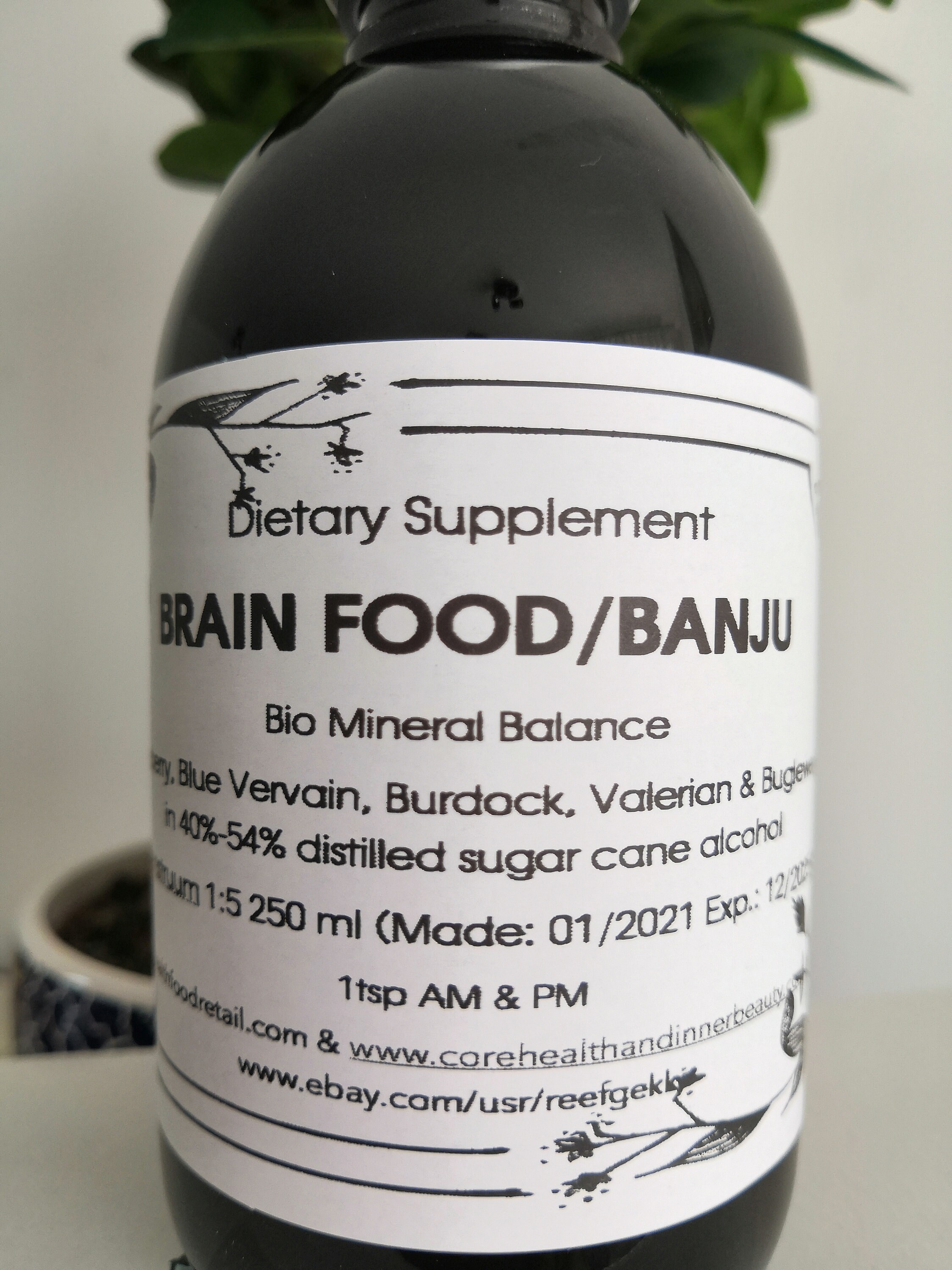 BRAIN Tonic - Brain Food & Balance Central Nerve System - Etsy