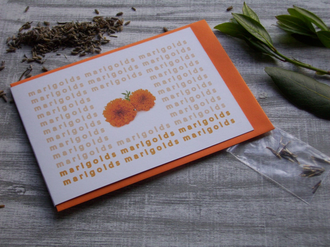 4 X Flower Seed Greeting Cards, Choice of Flower Seeds, Growing ...