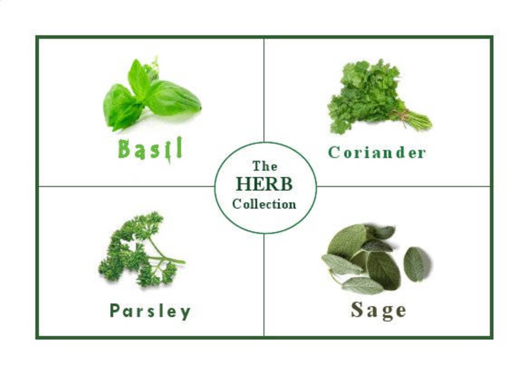 4 X Greeting Cards With 4 X Packs of Herb Seeds, Handmade A6 Size, With ...