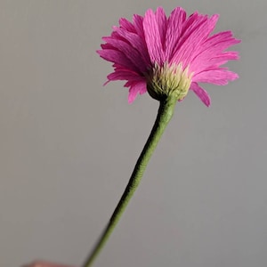 Wrapped Single Stem Paper Gerbera Daisy - Etsy