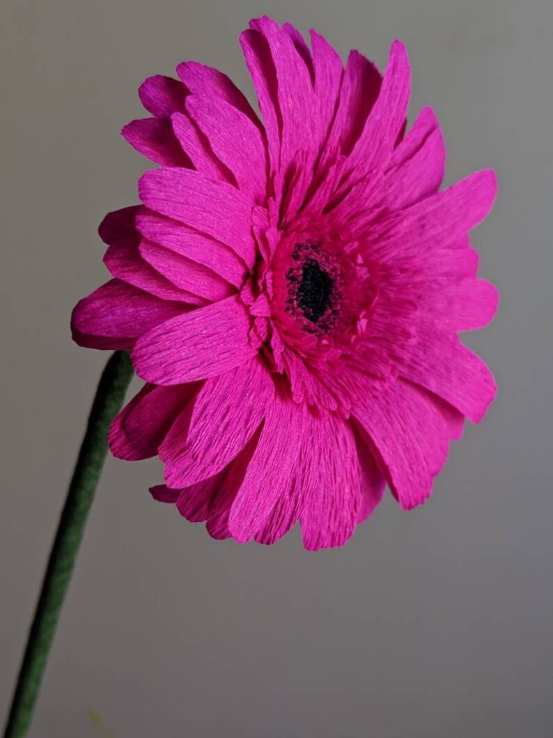 Wrapped Single Stem Paper Gerbera Daisy - Etsy