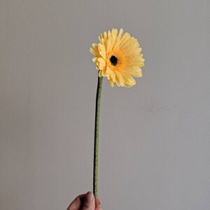Wrapped Single Stem Paper Gerbera Daisy - Etsy