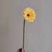 Wrapped Single Stem Paper Gerbera Daisy - Etsy