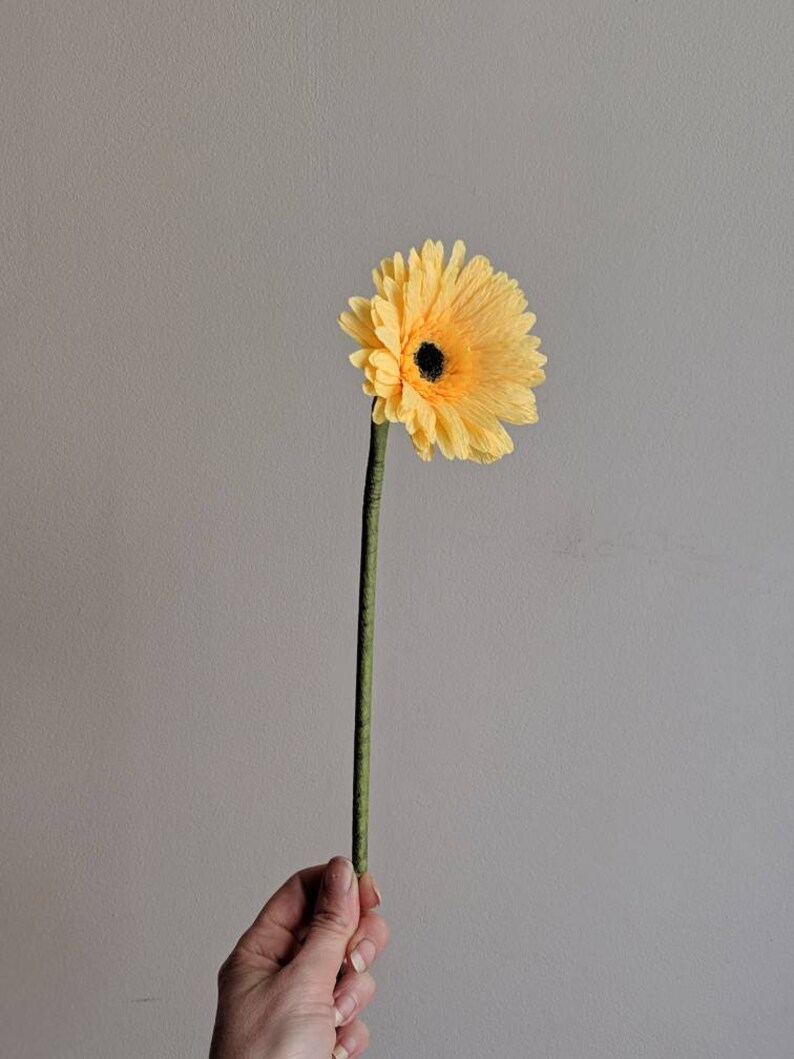 Wrapped Single Stem Paper Gerbera Daisy - Etsy