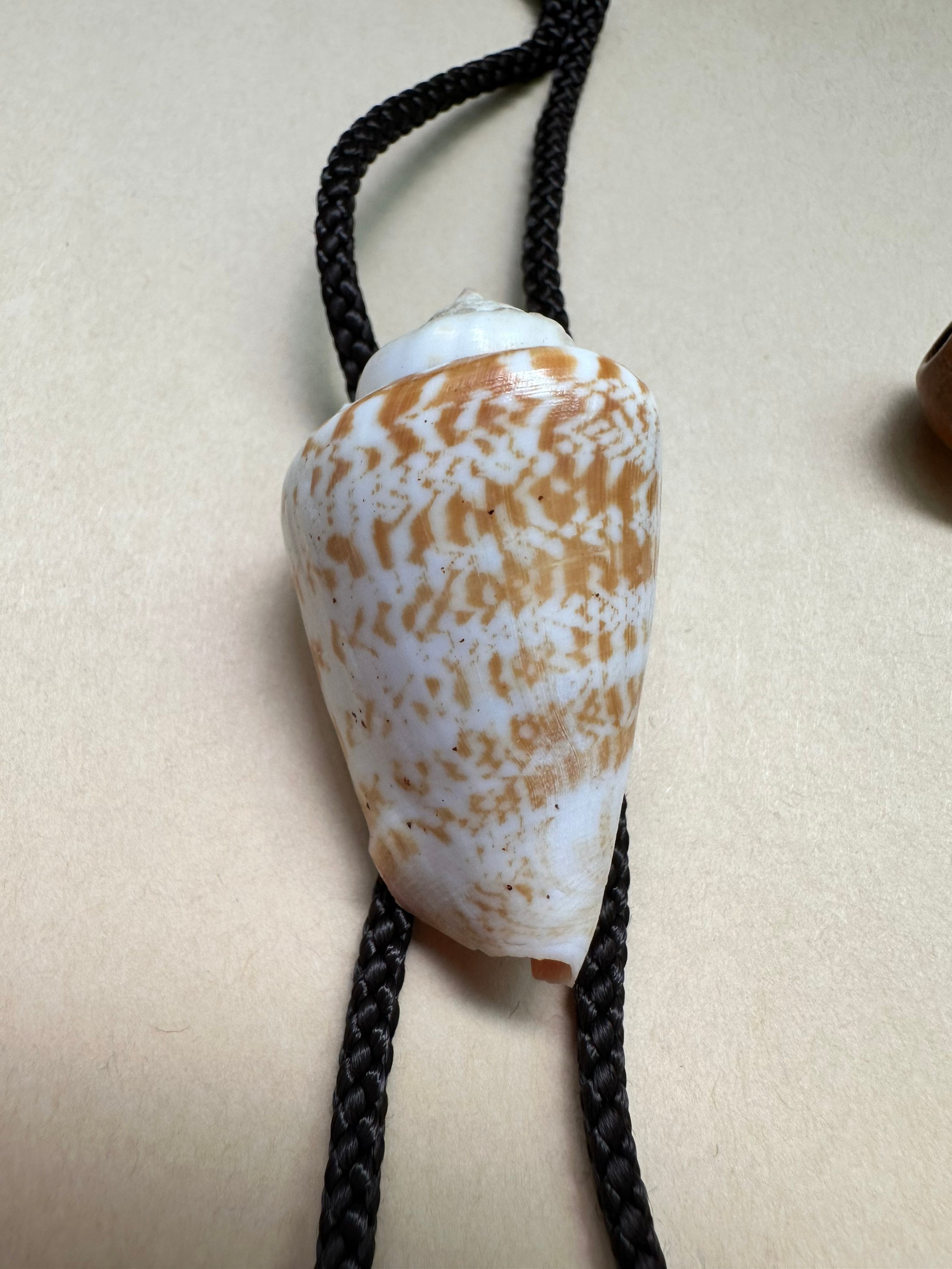Vintage Cone Shell Bolo Tie Necklace - Etsy
