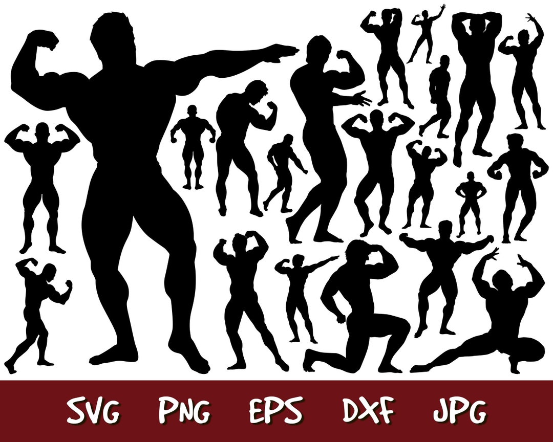 Muscle Building Body Builder Gym Fitness Exercise Weight Training ...