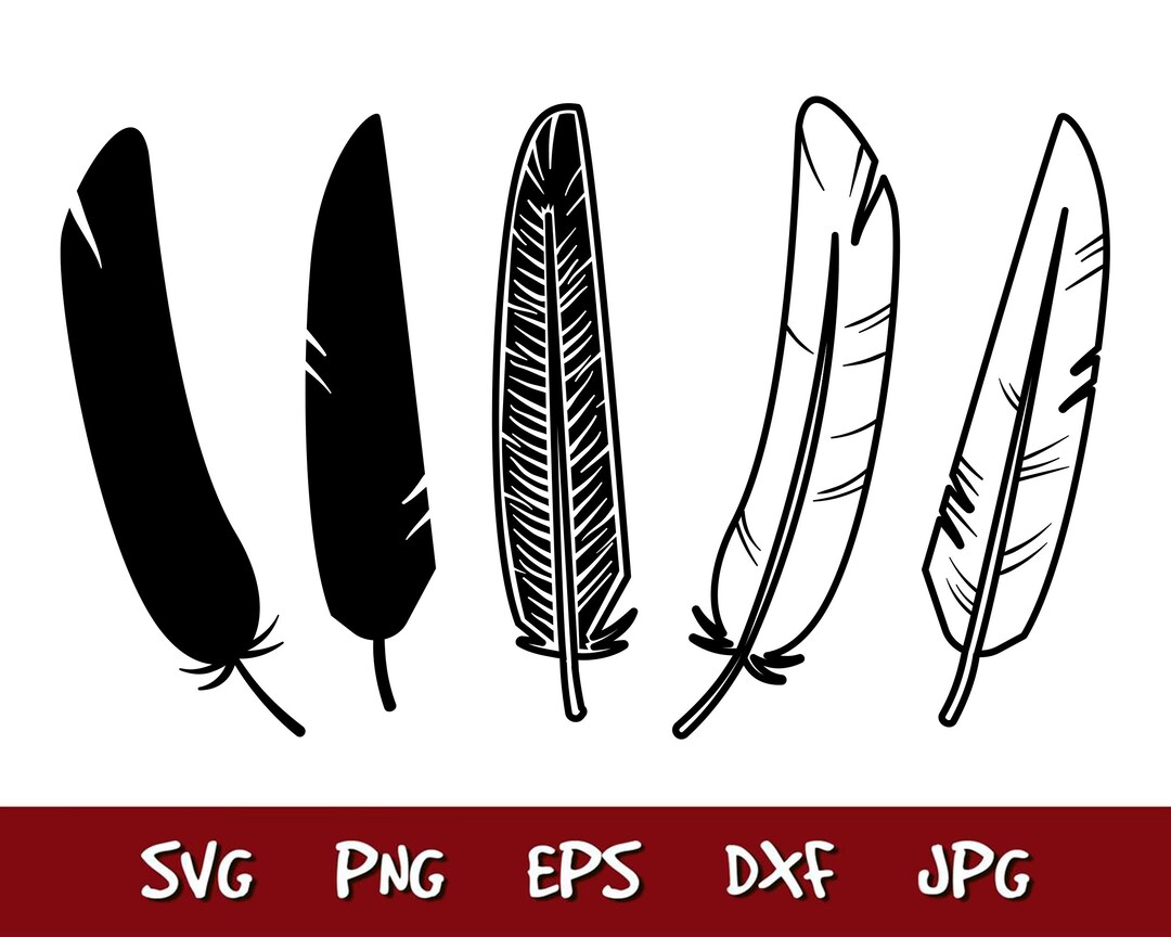 Feathers Images Eps PNG Dxf Download Files Feather Svg Bird Feathers ...
