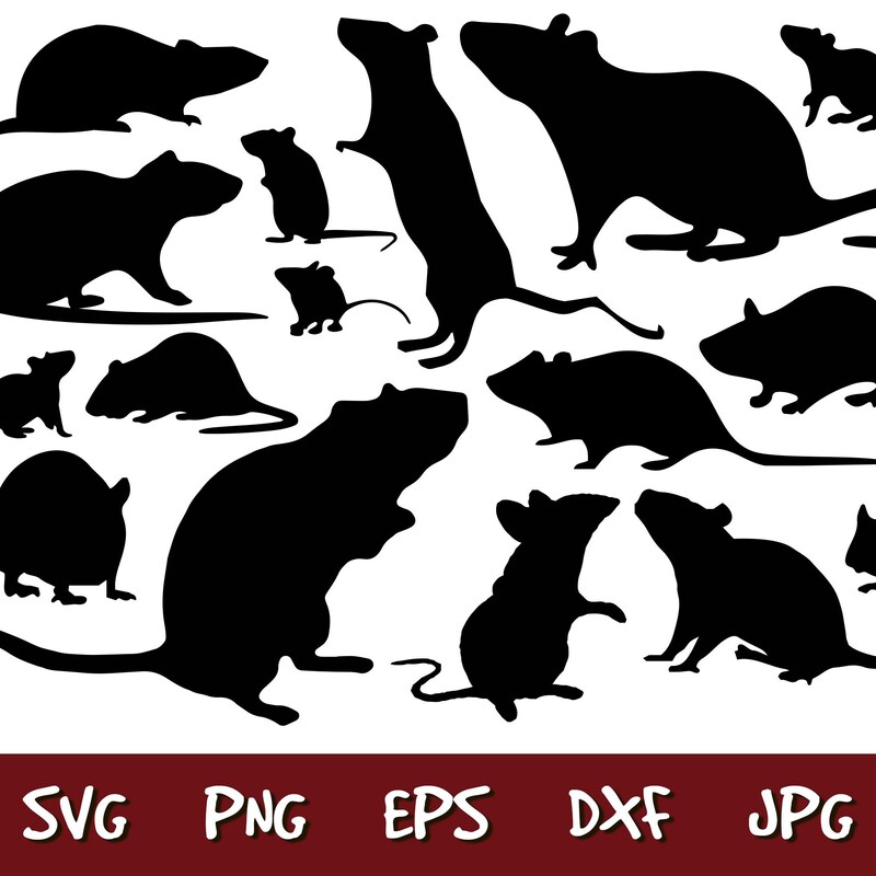 Mouse Rat Svg - Etsy