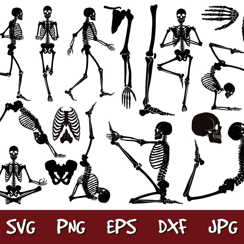 Skeleton Svg - Etsy