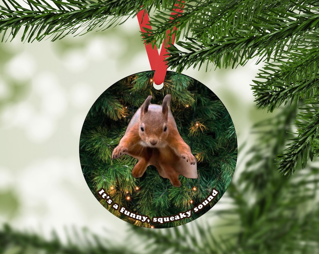It's a Funny, Squeaky Sound (squirrel) - Novelty Ornament (christmas ...