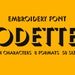 Odette Modern Outline Wide 3D Embroidery Font, Playful Three ...