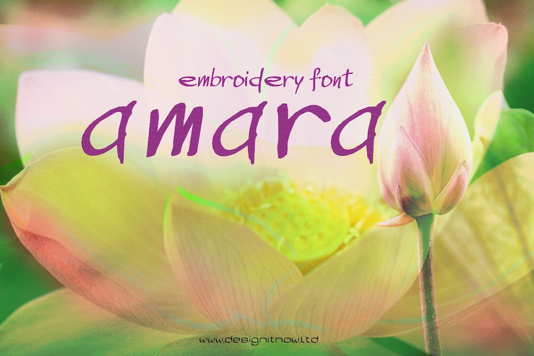 Amara Ink Brush Embroidery Font, Handwritten Letters Script Font ...