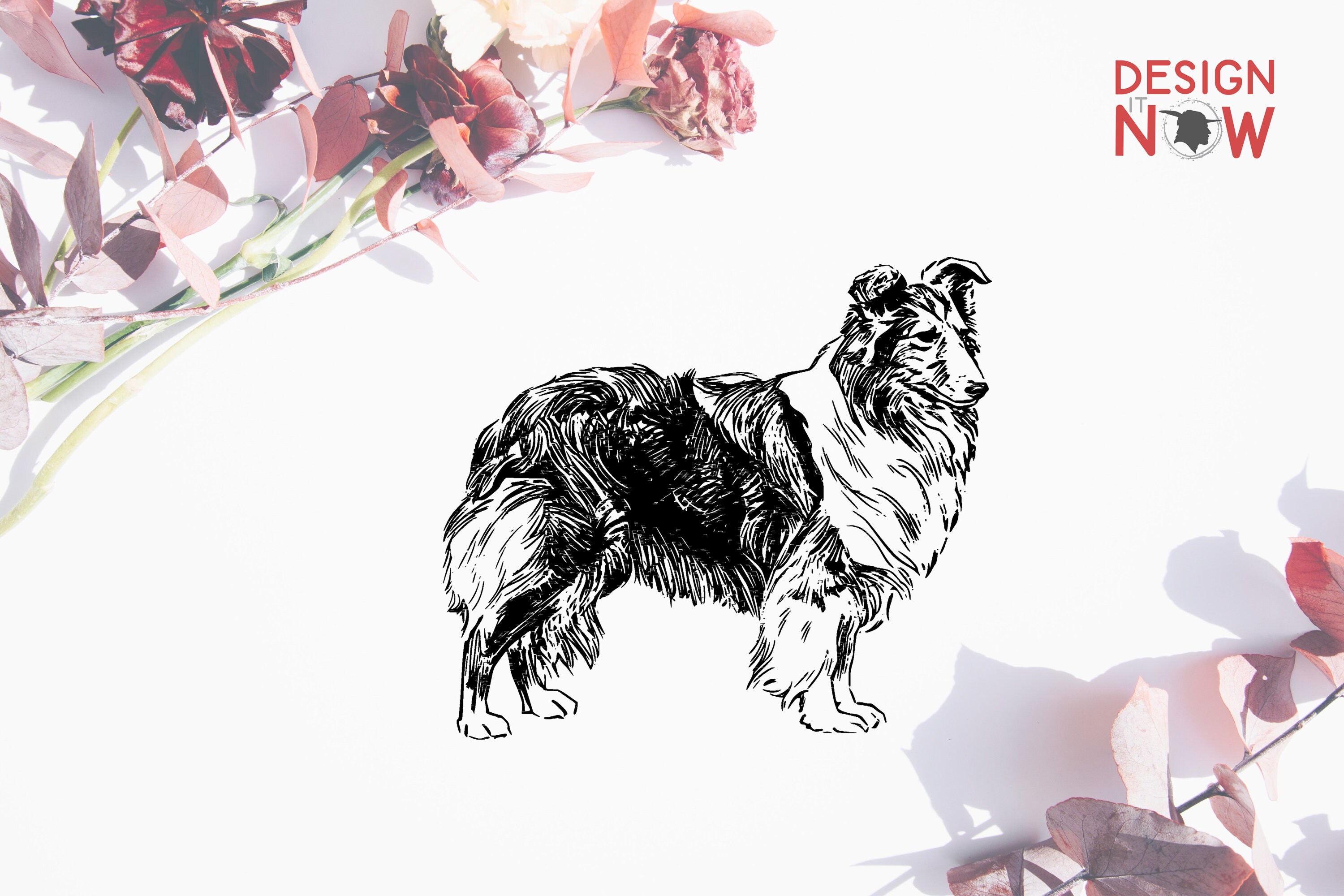 Collie Dog Embroidery Design Animals Embroidery Dogs Home | Etsy