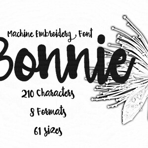Bonnie Embroidery Font, Handwritten Brush Calligraphie Decorative Font ...