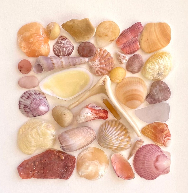 Colorful Beach Art Made of Sea Glass Shells Sea Pottery and - Etsy