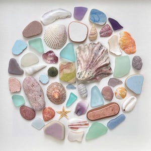 Colorful Beach Collage Circle Made of Scottish Sea Glass, Shells, Sea ...