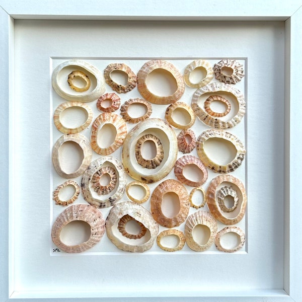 Sea Shell Wall Art - Etsy