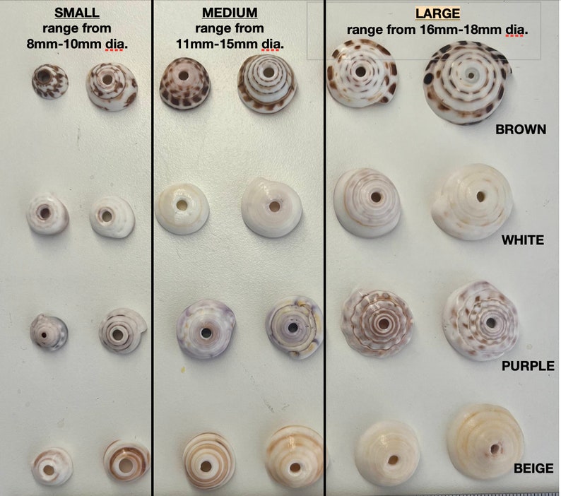 Hawaiian Puka Shells Vintage Natural Authentic - Etsy