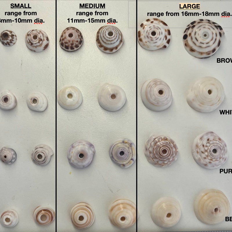 Authentic Hawaiian Puka Shells - Etsy