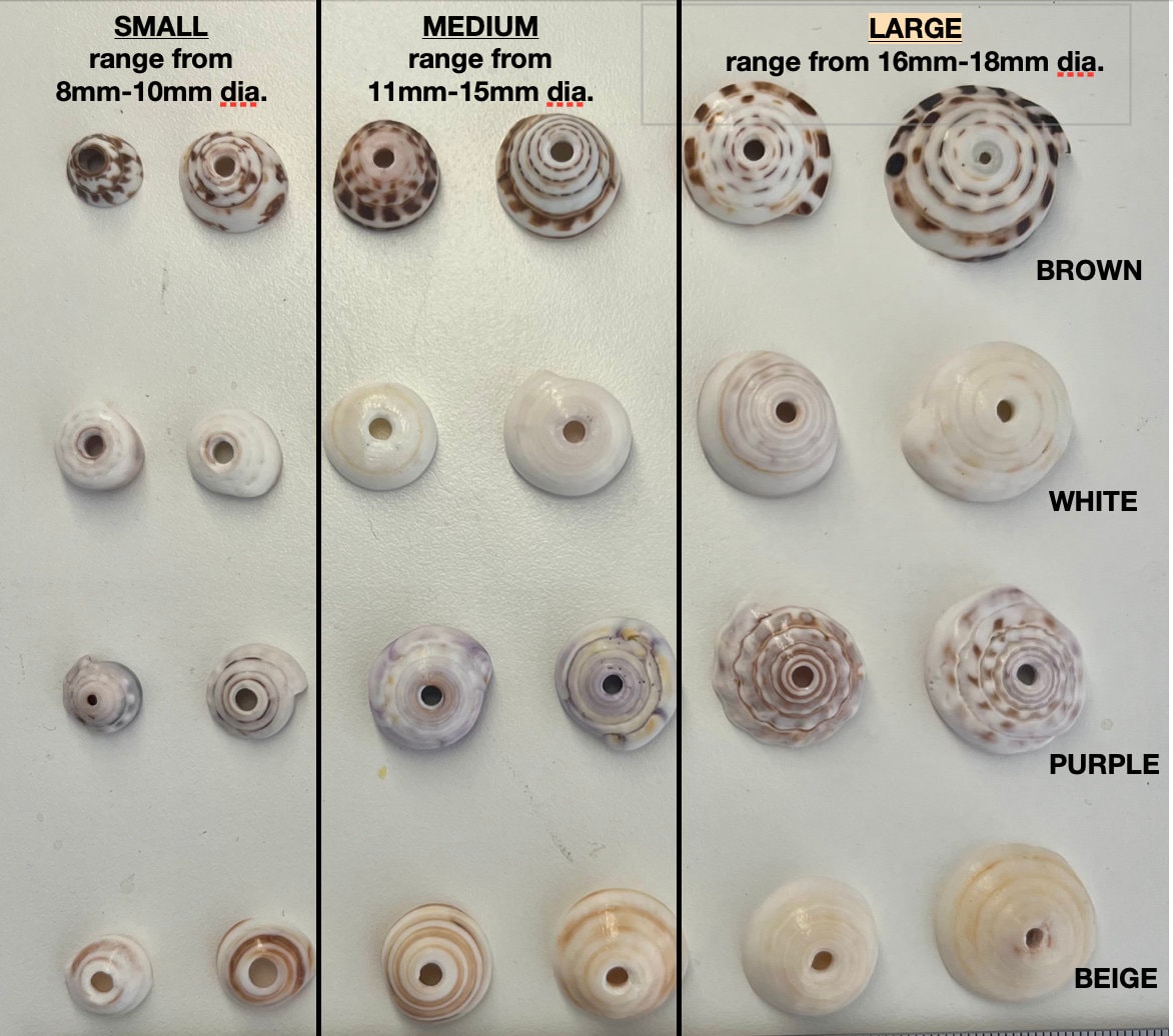 Hawaiian Puka Shells Vintage Natural Authentic - Etsy