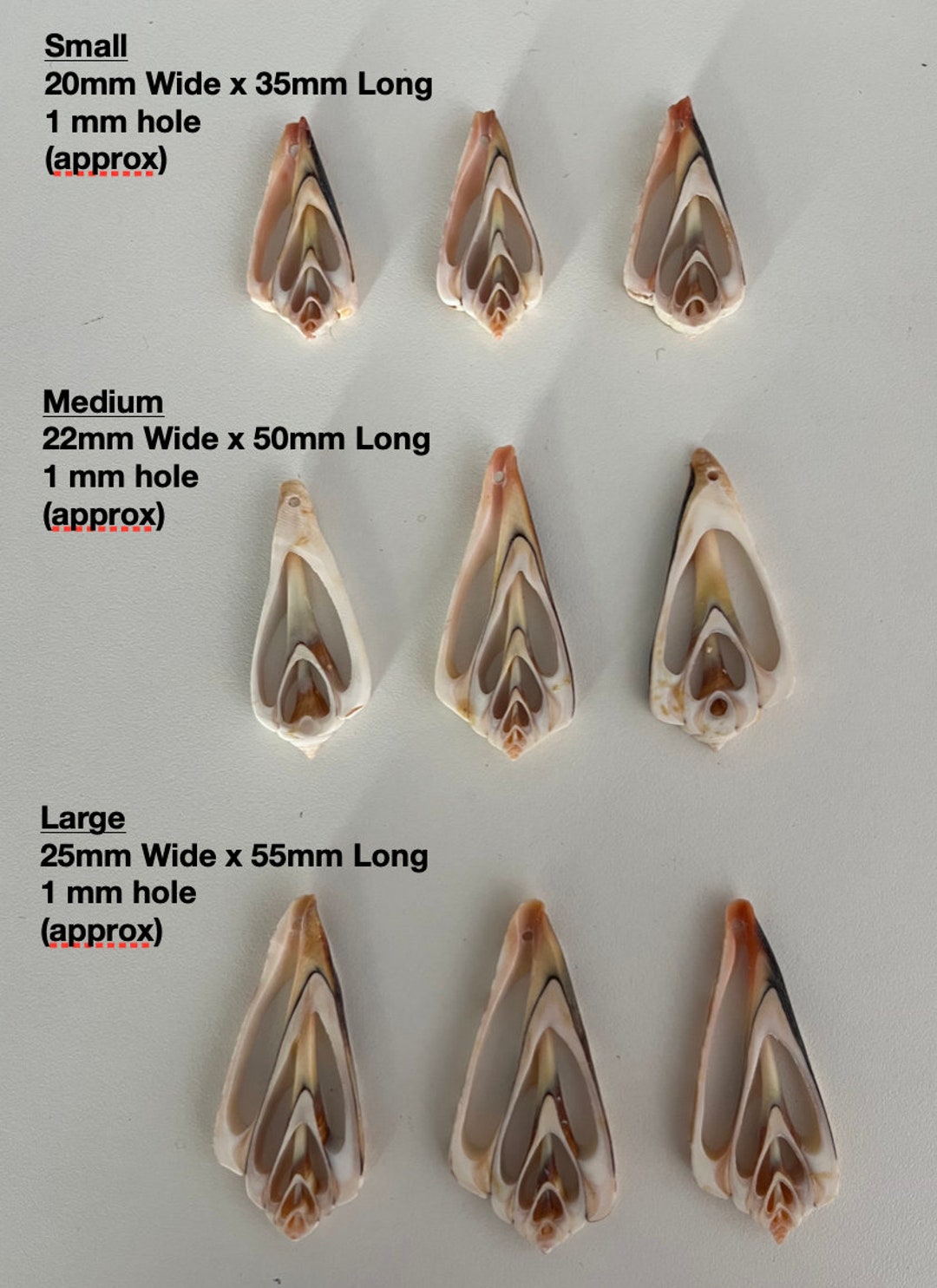 Vintage Strawberry Strombus Shells Center Cut With Drilled Holes - Etsy