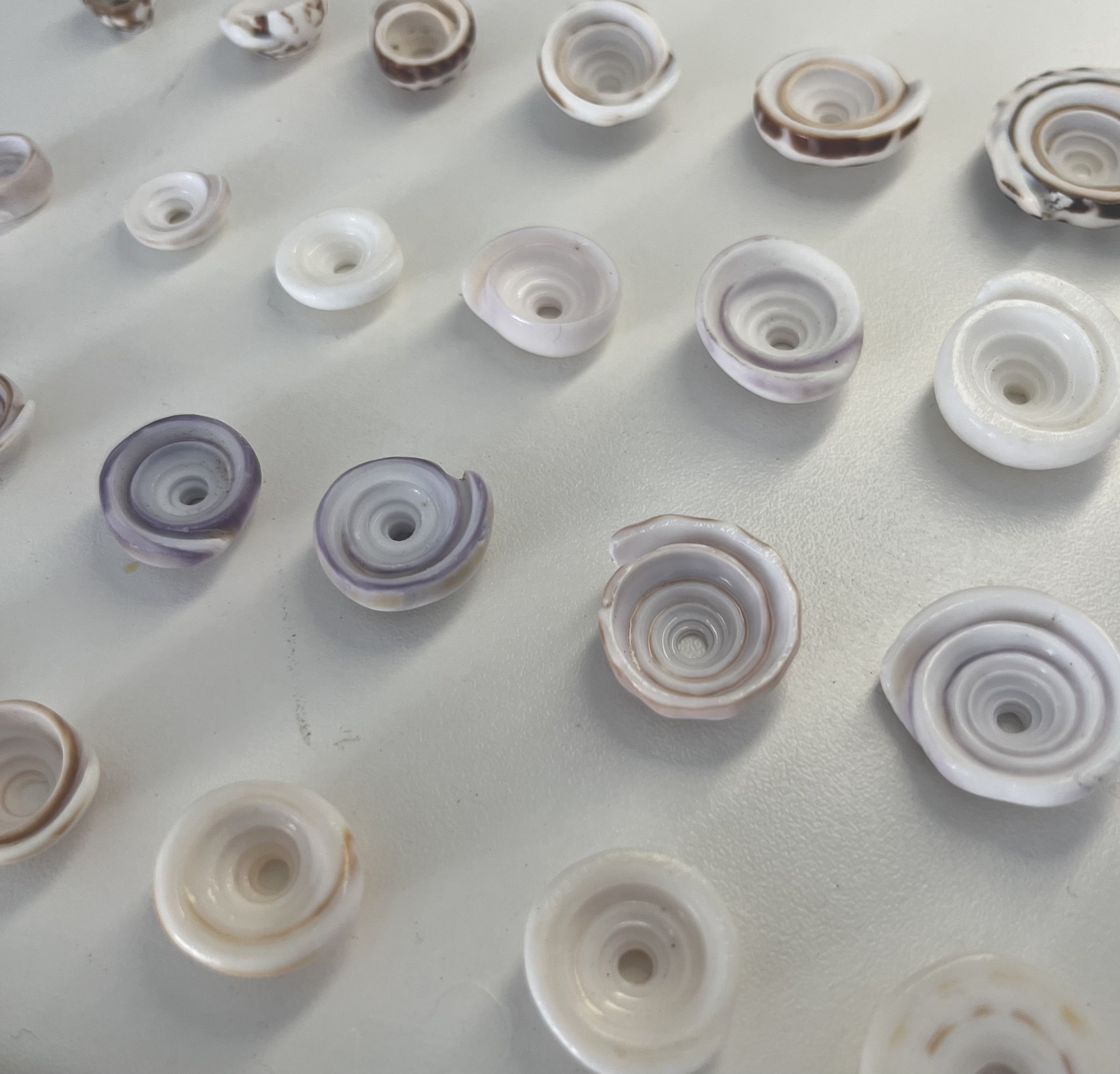 Hawaiian Puka Shells Vintage Natural Authentic - Etsy