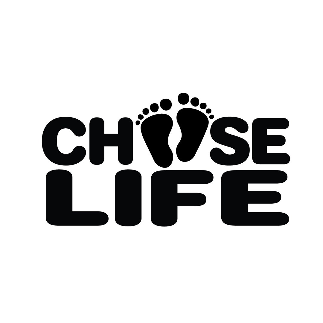 Choose Life Die Cut One Color Decals Window Bumper Sticker Car Decor ...