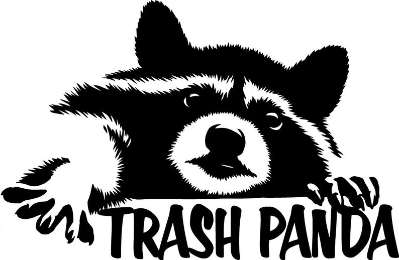 6 x 4 inch Raccoon Trash Panda One Color Decal Window Bumper | Etsy